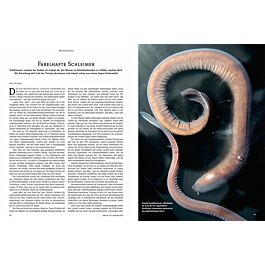 Fabelhafte Schleimer